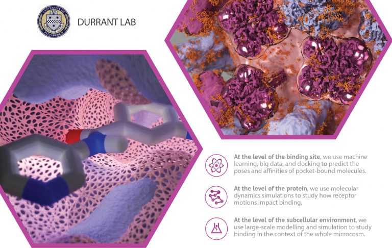Computational Biology Research: Learn More – Durrant Lab