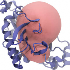 Durrant-Lab Software – Durrant Lab