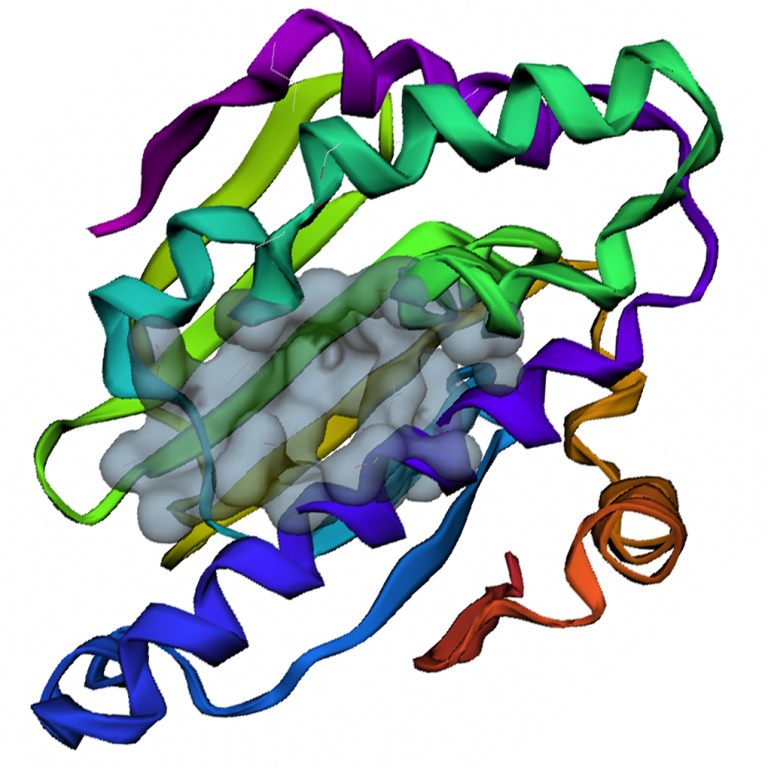 Durrant-Lab Software – Durrant Lab